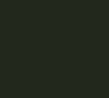 AMMO of Mig Jimenez A.MIG 276 Dark Olive Green 2