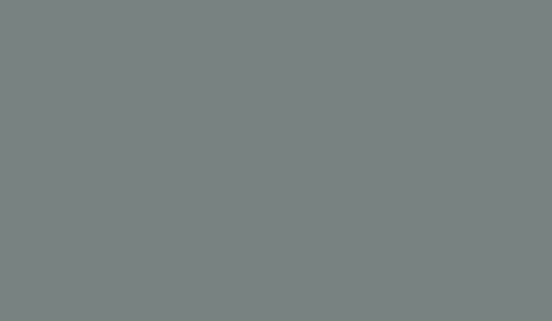 Life Color UA476 - Feldgrau Uniforms