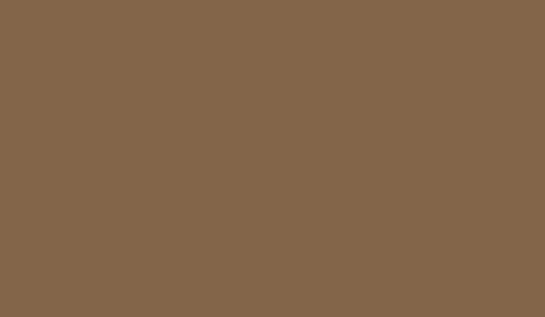 Life Color UA478 - Isonzo Braun