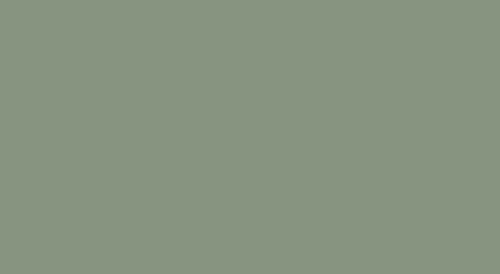 Life Color UA824 - Diesel Loco Roof Grey