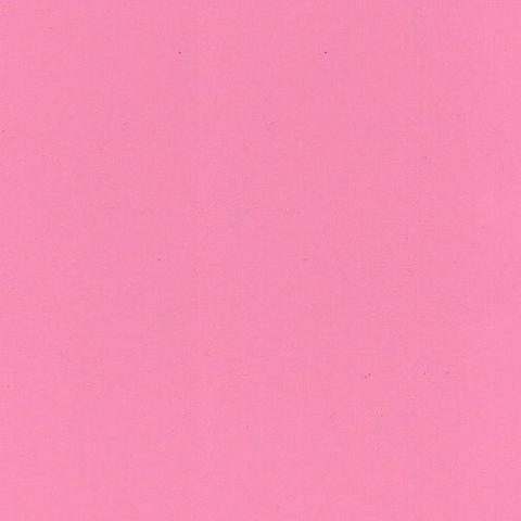 Mission Models MMS-005 Pink Primer (Use When Spraying Red)