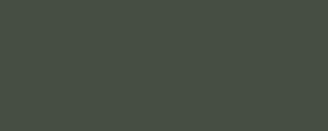 Xtracrylix XA1110 Forest Green FS14079 Gloss