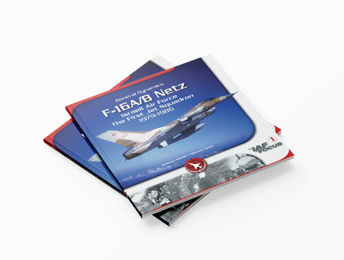 Isra Decal Studio AFB17 F-16 A/B Netz 1979-1986