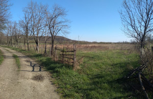 Prodajem Građevinsko Zemljište, 1,54ha - Belo Polje, Beograd Grad