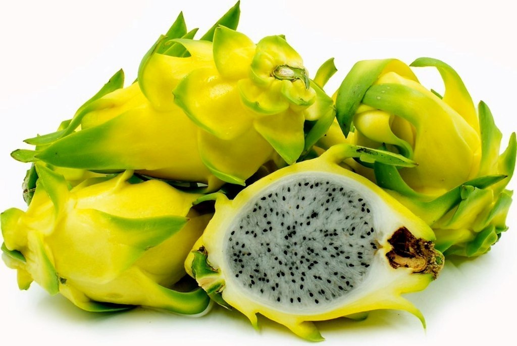 Zmajevo Voce Zuti Dragon Fruit Seme (Selenicereus megalanthus)