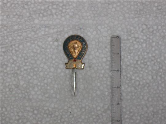 Planinska Zveza Slovenije 1893