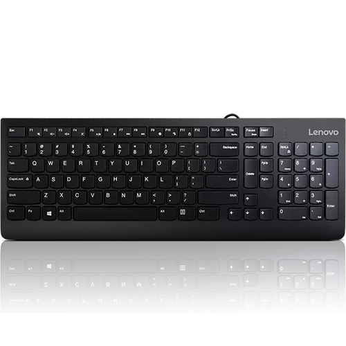 Lenovo GX30M39655 Lenovo 300 USB Keyboard US English 103P Black