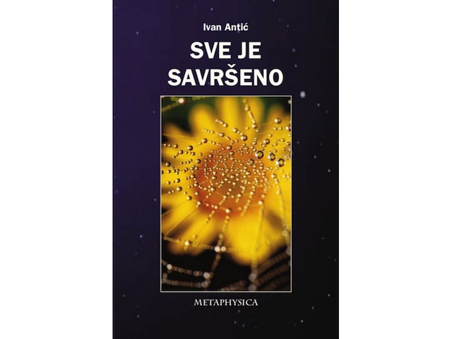 SVE JE SAVRŠENO - Ivan Antić