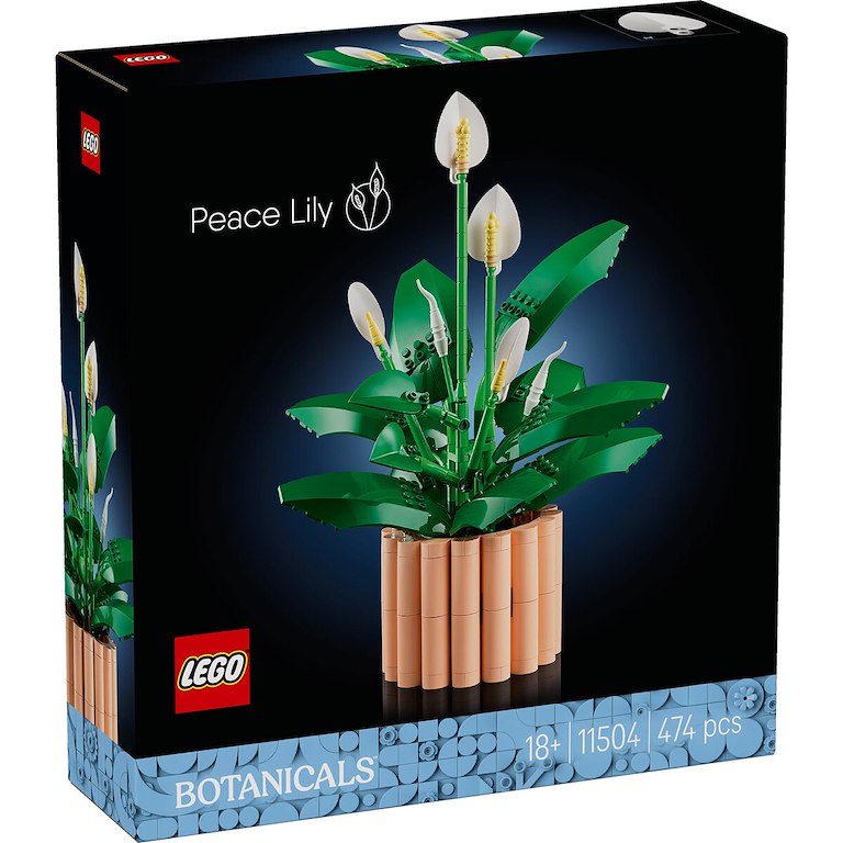 LEGO Spatifilum 11504ID: EK000808992