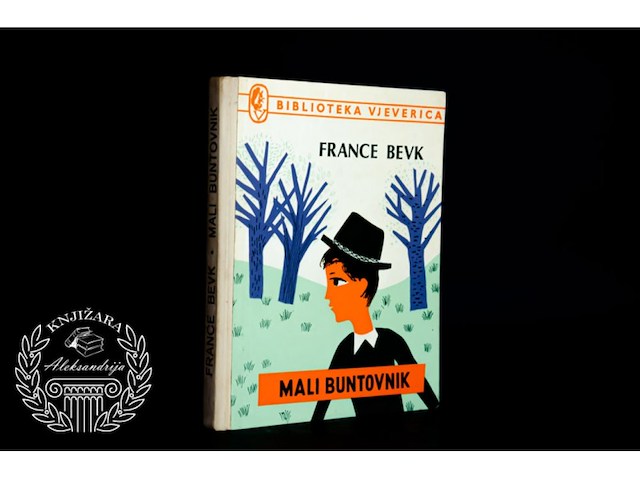 MALI BUNTOVNIK - France Bevk