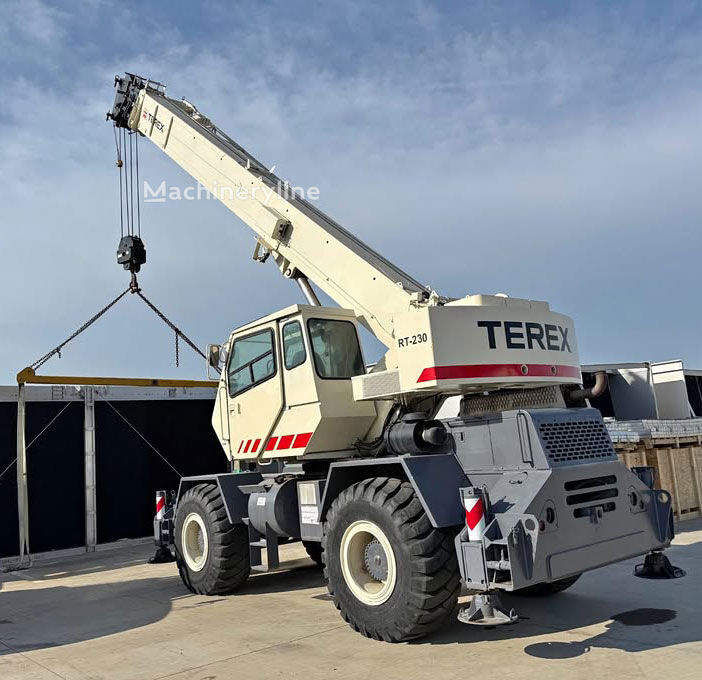 Terex RT230 dizalica za sve terene