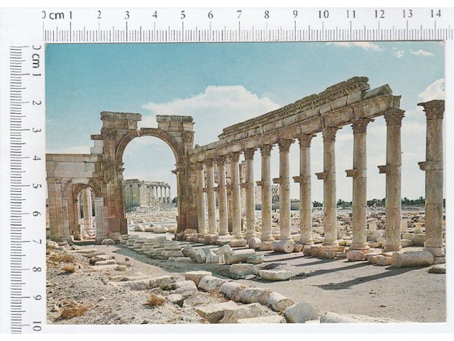 Sirija, Syria - Palmyra - Great Colonnade