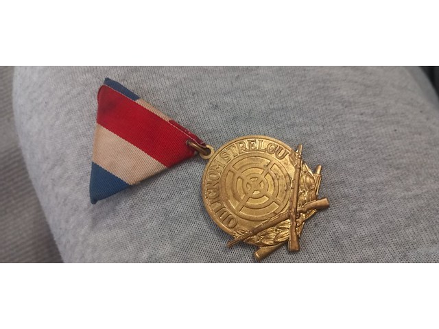 Medalja odličnom strelcu