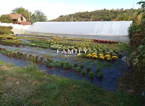 Prodaja Građevinsko zemljište - Novi Sad, Sremska Kamenica - Tatarsko brdo