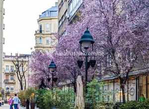 Prodaja Stan - Beograd, Savski Venac Centar