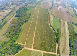 Prodaja Građevinsko zemljište - Beograd, Palilula: Borča - Kovilovo - Crvenka