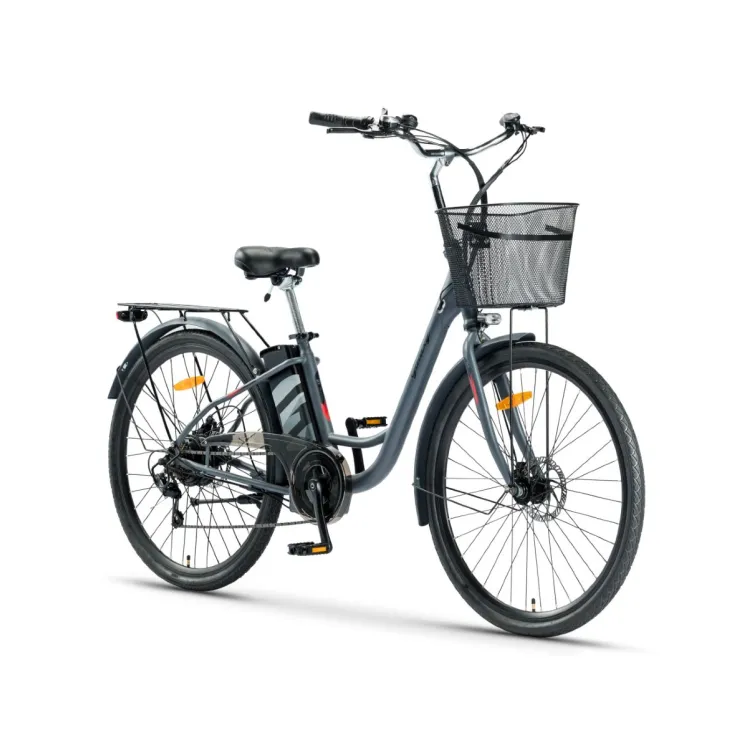 Električni bicikl 28" BARCELONA (250W 36V/10.4Ah lithium) siva MAT