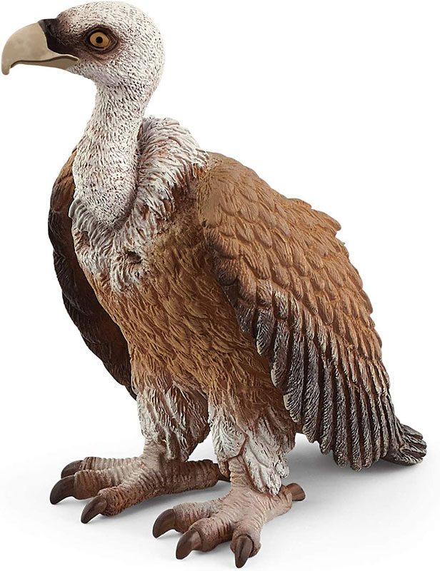 Schleich figurice Divlje životinje - Beloglavi sup 14847
