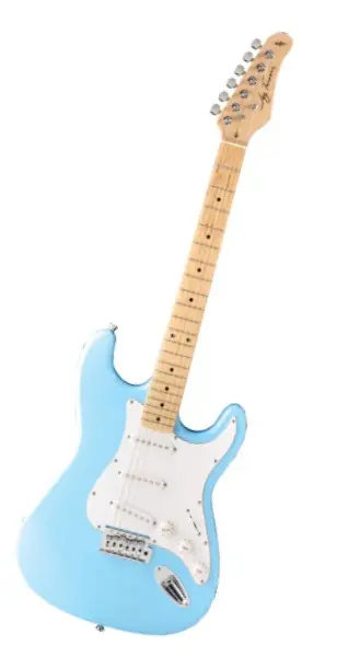 Jay Turser AMS JT 300M DB električna gitara