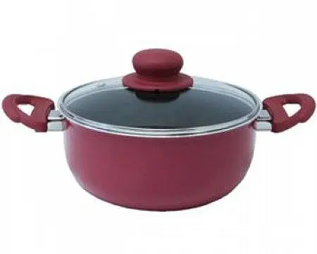 Tefal lonac Expression 24 cm sa poklopcem D29246