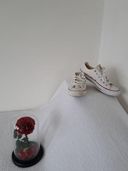 CONVERSE bele starke vel br 37,5