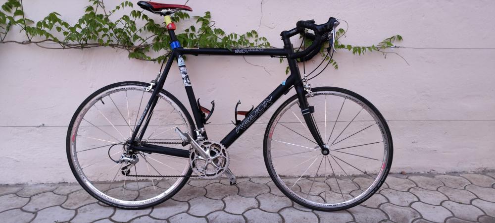 Radon Boa SR Equipe 64cm
