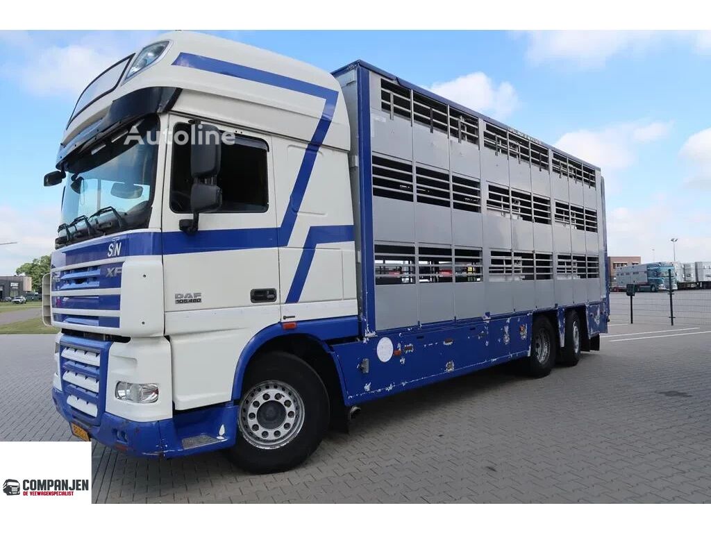DAF XF 105 XF 105-460 - 2012 - 2-3 floors, Pigs transport kamion za prevoz stoke