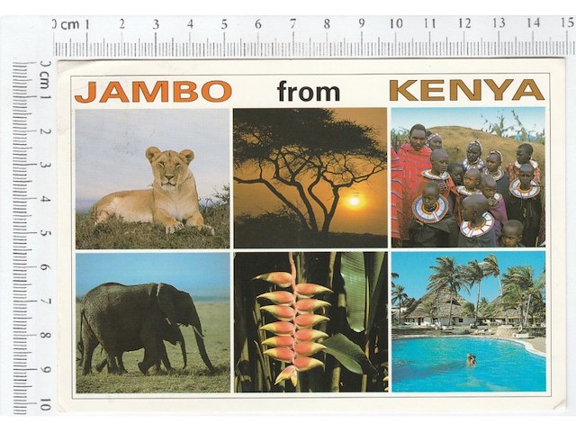 Jambo (greeting) from Kenya, Kenija