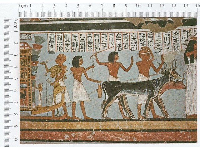 Valley of the Kings: Wall painting showing religious ce