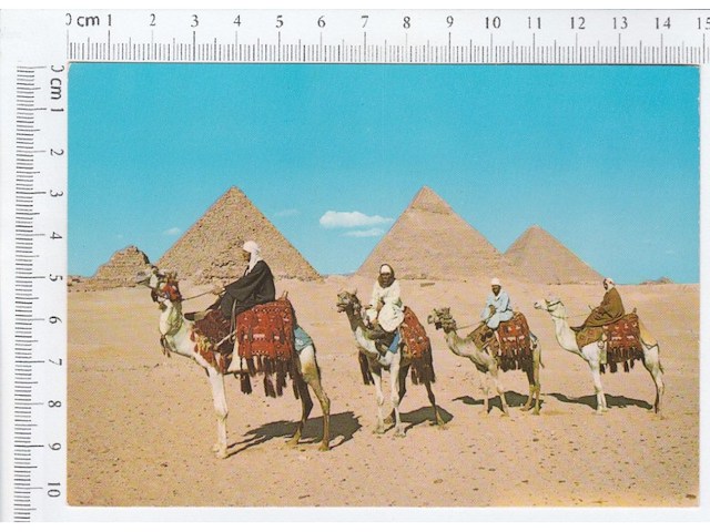 Giza-Arab Camelriders in front of the Pyramids, Egipat