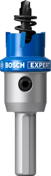 Bosch Kruna za lim sa osovinom Expert 2608901974, 18mm