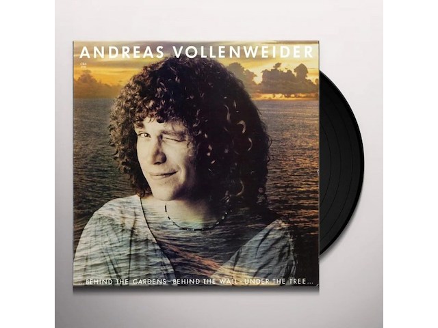 Andreas Vollenweider Behind The Gardens