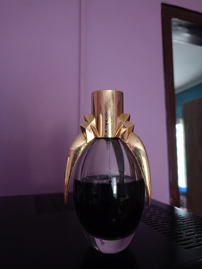 Lady Gaga Fame