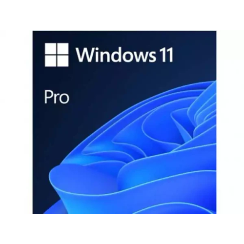 Microsoft Windows 11 Pro 64bit Eng Intl OEM DSP DVD FQC-10528 (24H2)