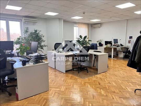 Odličan poslovni prostor, Botanička bašta, 300m2