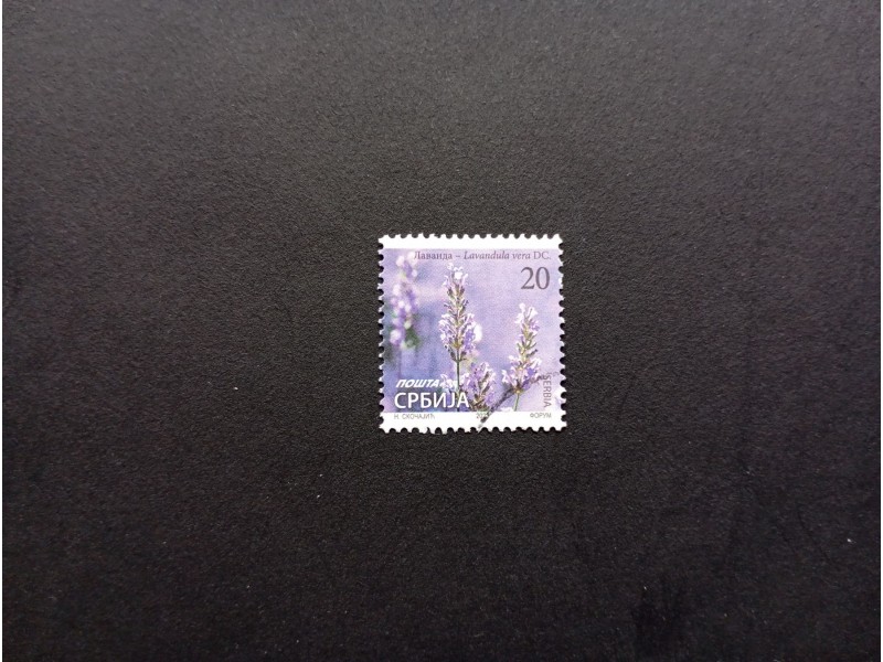 Srb. 182*
