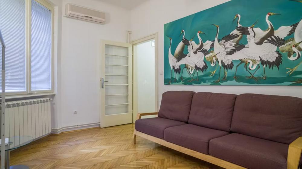 Pet friendly stan u samom centru grada ID#2501
900 €