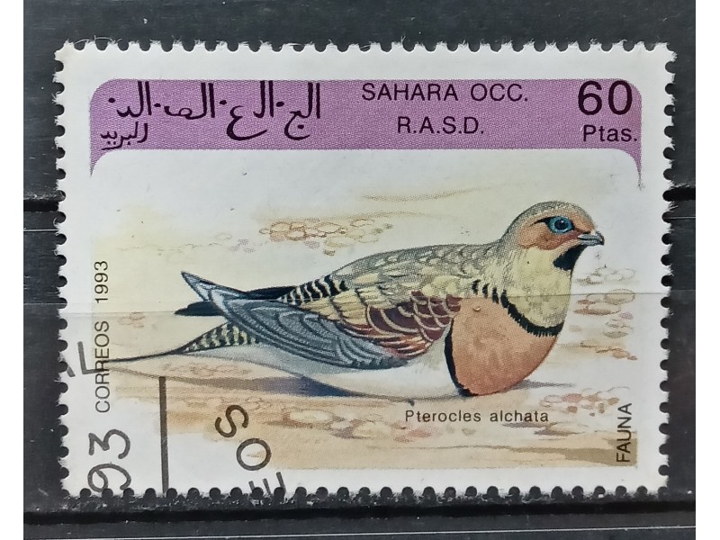 SAHARA 1993 - PTICE