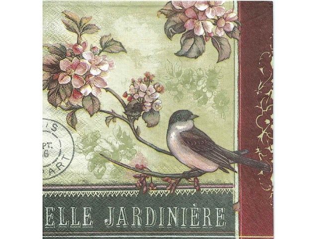 Salveta POV56K8_363 - 33x33cm Ptice