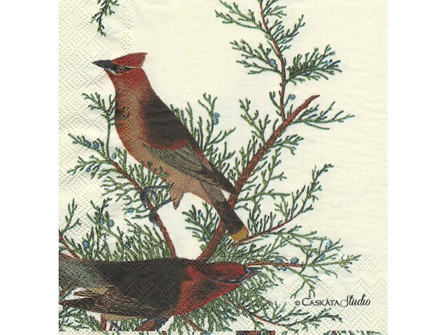 Salveta POV56K9_09 - 33x33cm Ptice