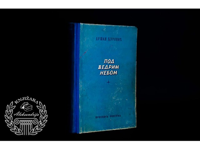 POD VEDRIM NEBOM - Dušan Đurović