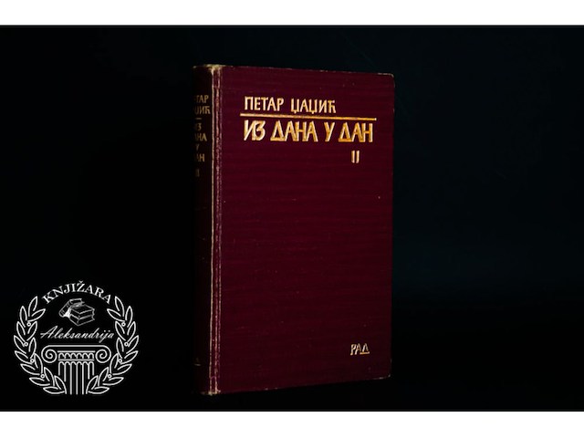 IZ DANA U DAN / Knjiga 1 - Petar Džadžić