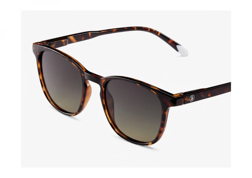 Suncane naocare BARNER Dalston/Glossy Tortoise