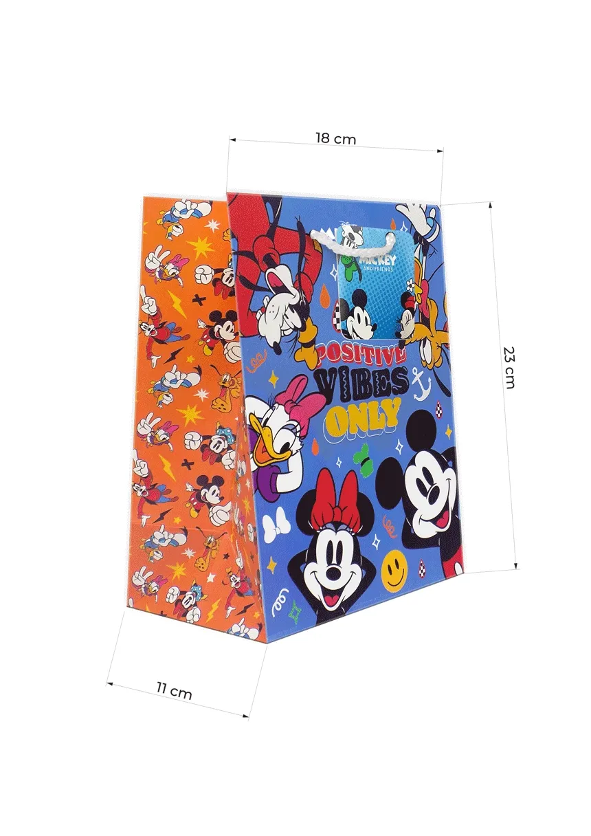 KESA UKRASNA M 18X11X23 MICKEY MINNIE 564041 *SY