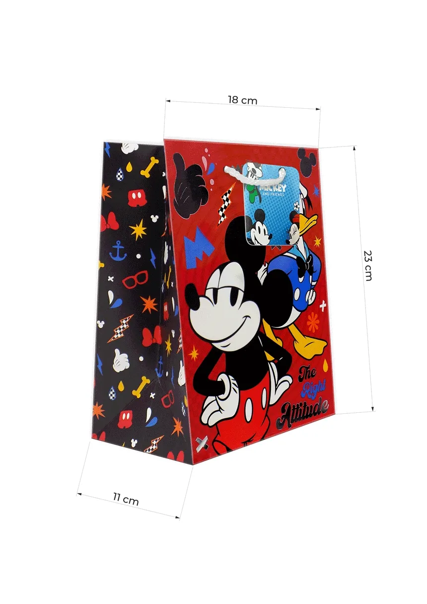 KESA UKRASNA M 18X11X23 MICKEY MINNIE HOLO 564044 *SY