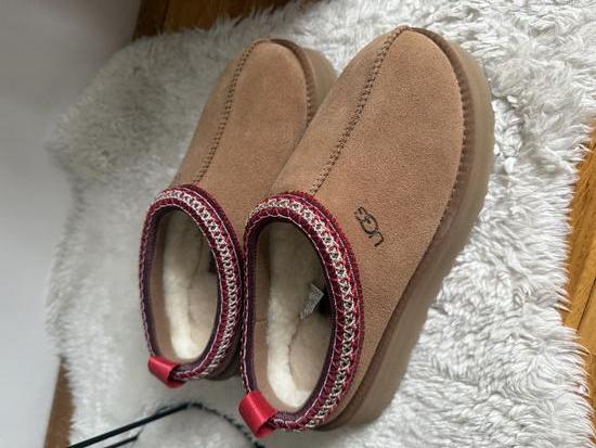 Ugg tazz Novo