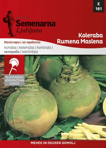 Seme za povrće - Keleraba žuta puterica - Brassica oleracea L. var. gongylodes 161
