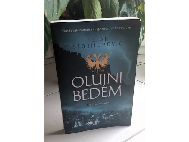 Olujni bedem - Dejan Stojiljković