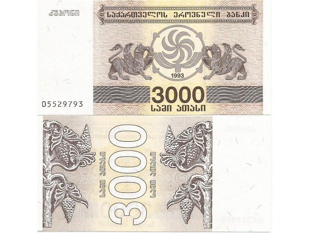 GRUZIJA 3000 kuponi 1993. UNC P-45
