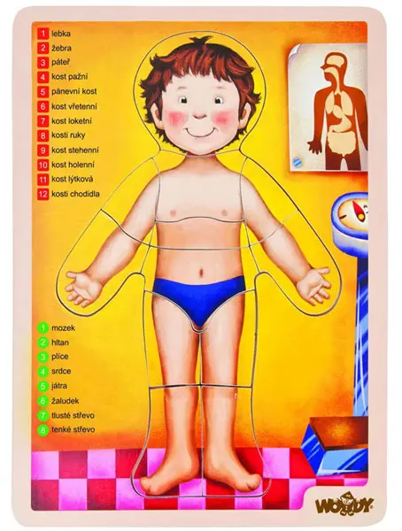 WOODY Slagalica LJUDSKO TELO - Puzzle Human Body 90332 - Engleska verzija